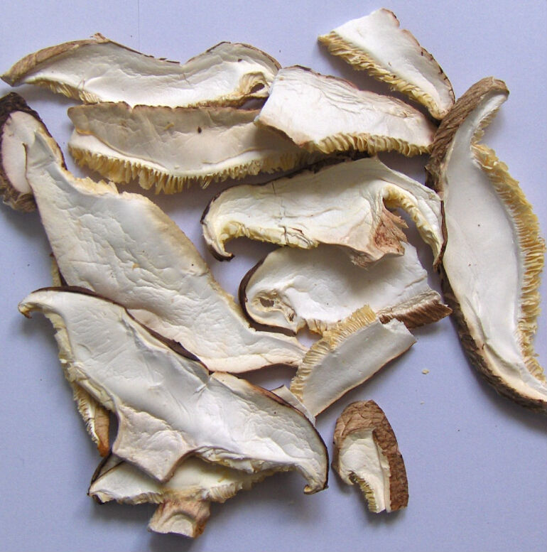 shiitake mushroom slice,dried sliced shiitake mushrooms,sliced shiitake